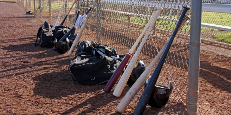 11 Best Catchers Equipment Bags In 2025 [Wheels & Backpack]